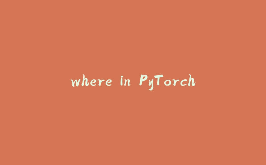 where in PyTorch - 拾光赋