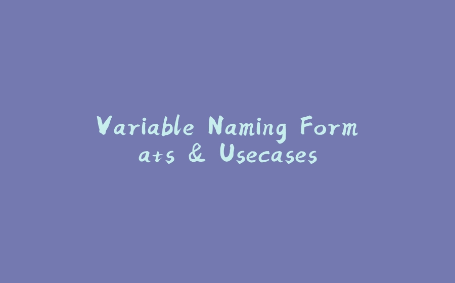 Variable Naming Formats & Usecases - 拾光赋